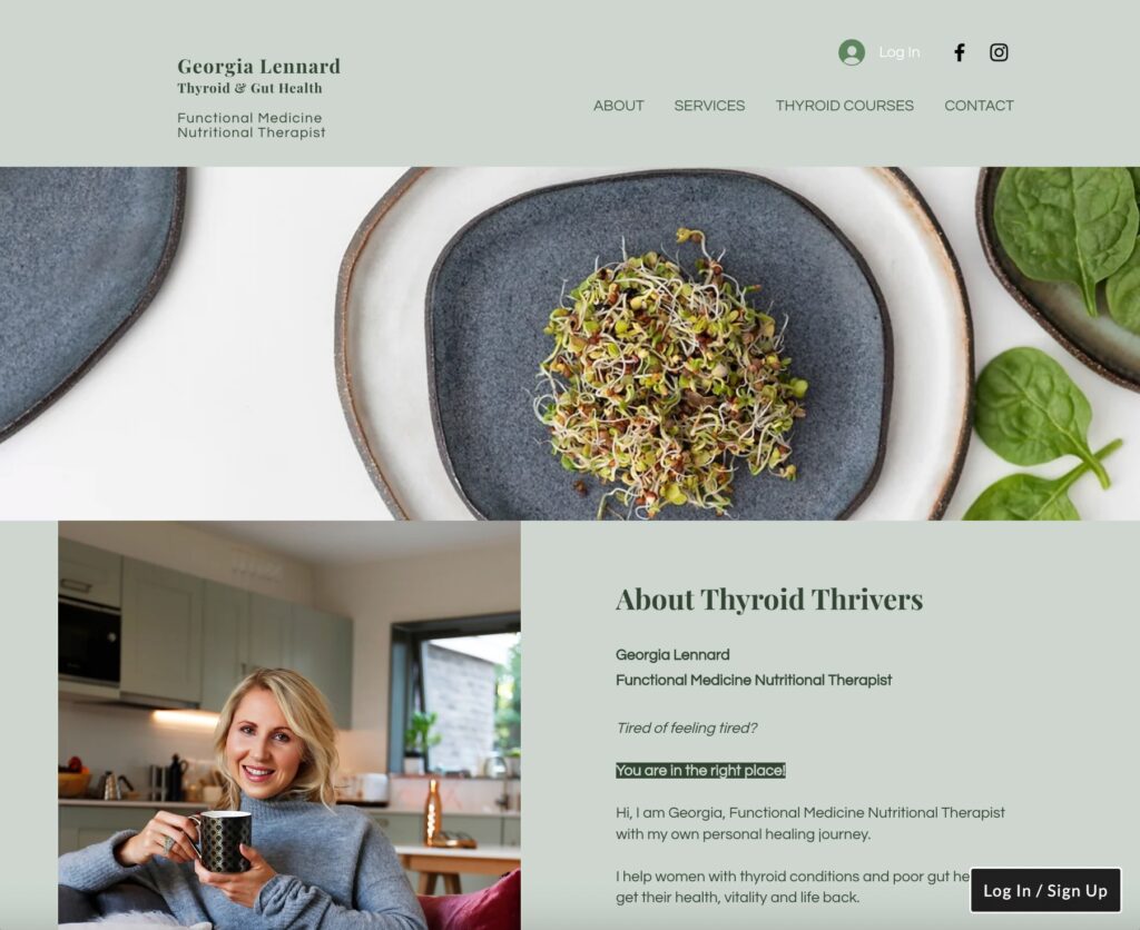 19 Wix Membership Site Examples